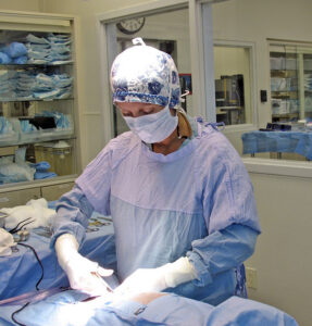 Veterinary Team - Oradell Animal Hospital